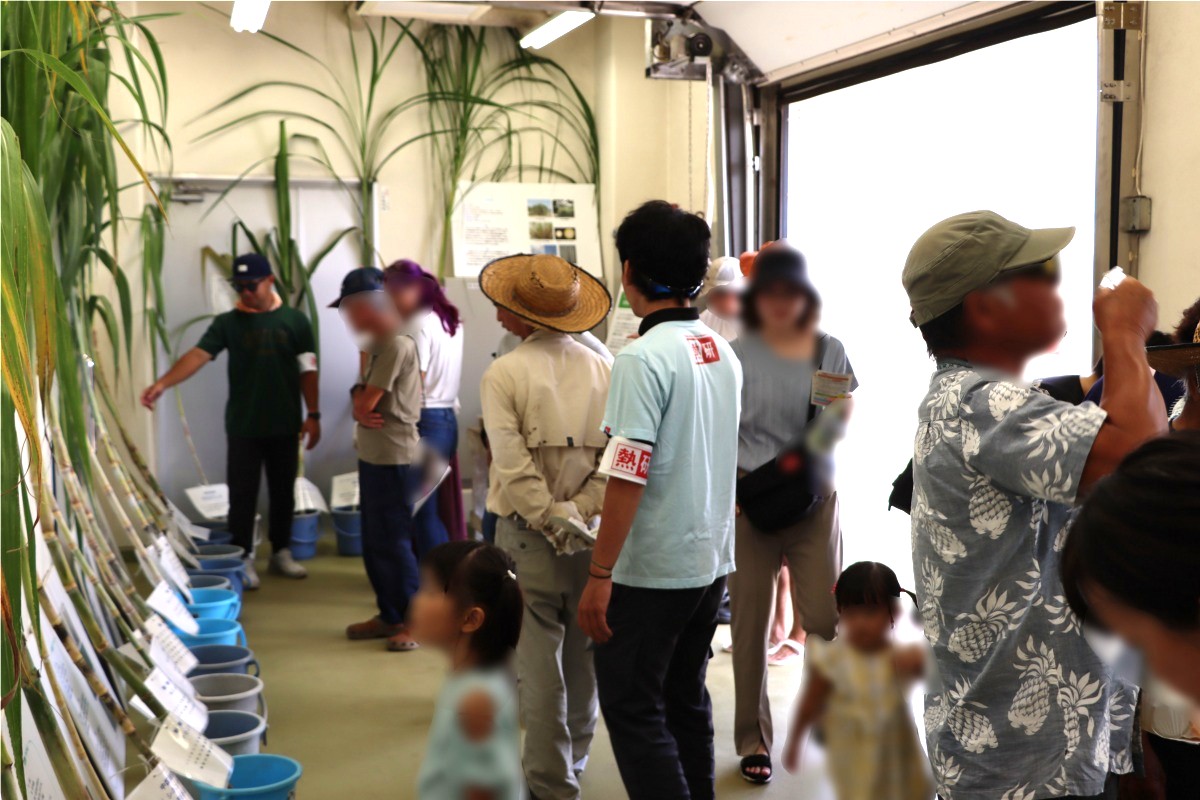 【中止】第19回熱研一般公開 | 国立研究開発法人 国際農林水産業研究センター | JIRCAS